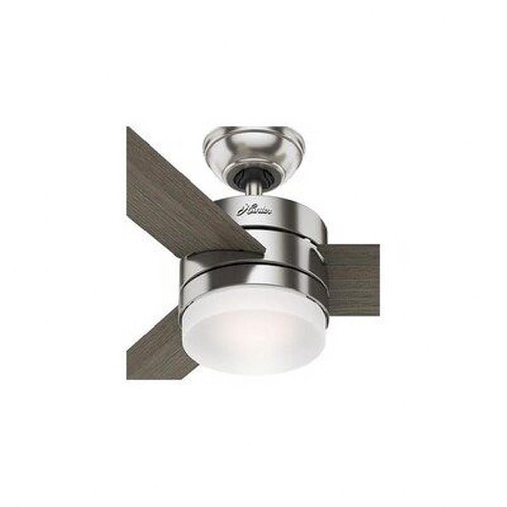 Hunter Exeter 54 Led Ceiling Fan Reviews | Shelly Lighting