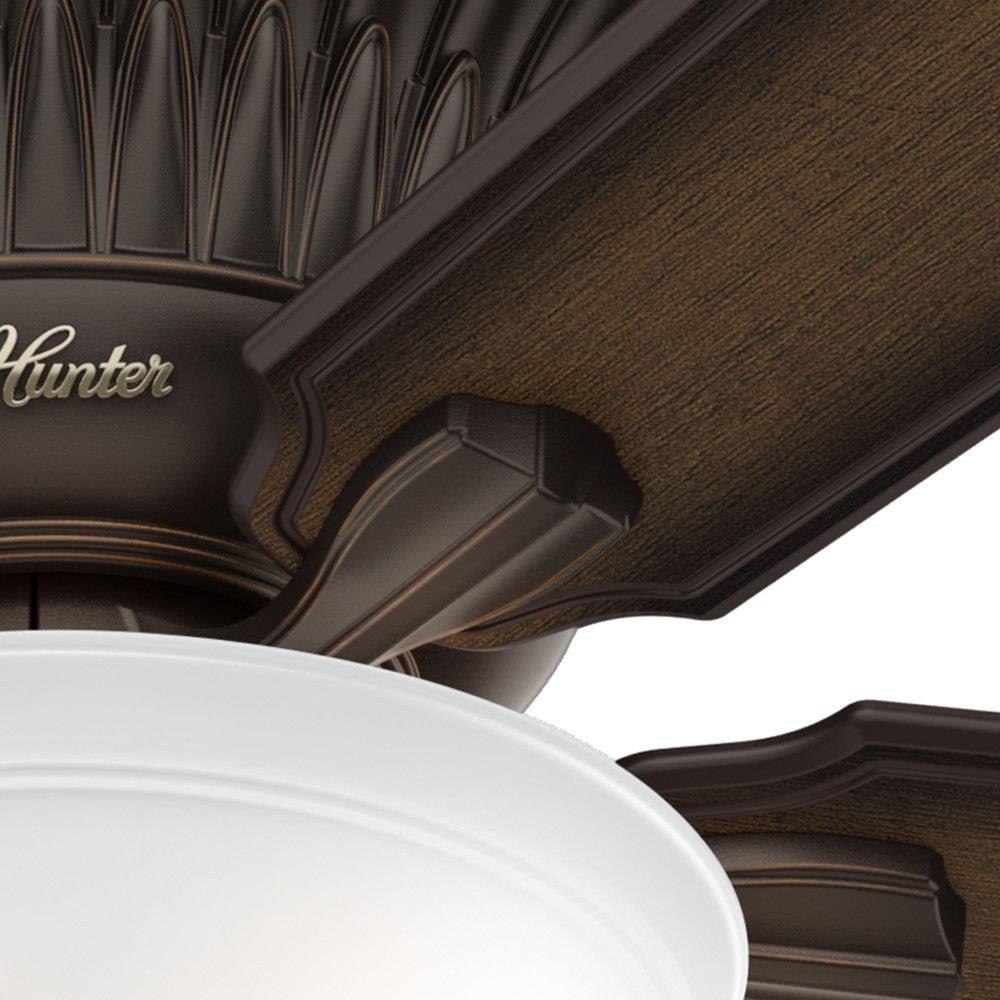 Hunter Fans - 1000301 - Chauncey 54 Inch Low Profile Ceiling Fan with ...