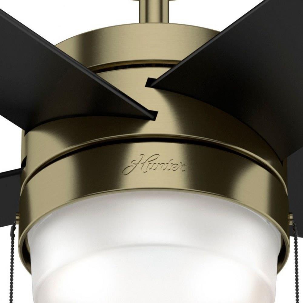 Hunter Fans - 1000778 - Claudette 52 Inch Ceiling Fan with LED Light ...