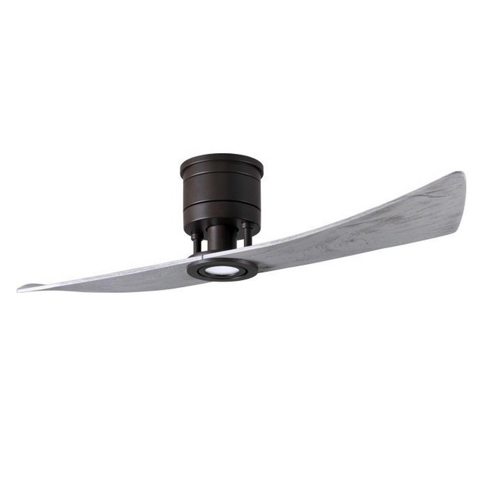 Two Blade Ceiling Fan With Light | Shelly Lighting